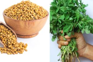Venthayam வெந்தயம் மருத்துவ பயன்கள் (Vendhayam – மேத்தி) Benefits Of ...
