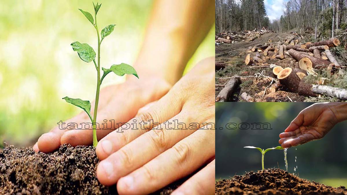 தினமும் நாம் சுவாசிக்கும் காற்றின் பெறுமதி எவ்வளவு ரூபாய் என்று ...