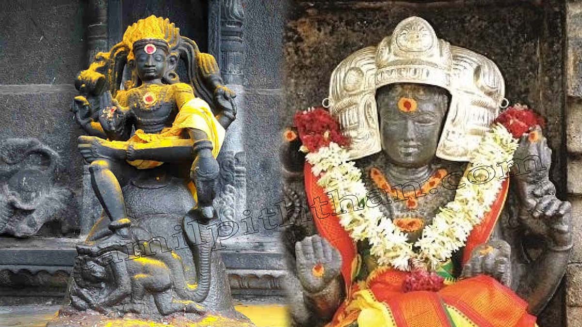 12 ராசிகளுக்குமான குருப்பெயர்ச்சி பலன்கள்! விரிவான பலன்கள்! | Tamil ...