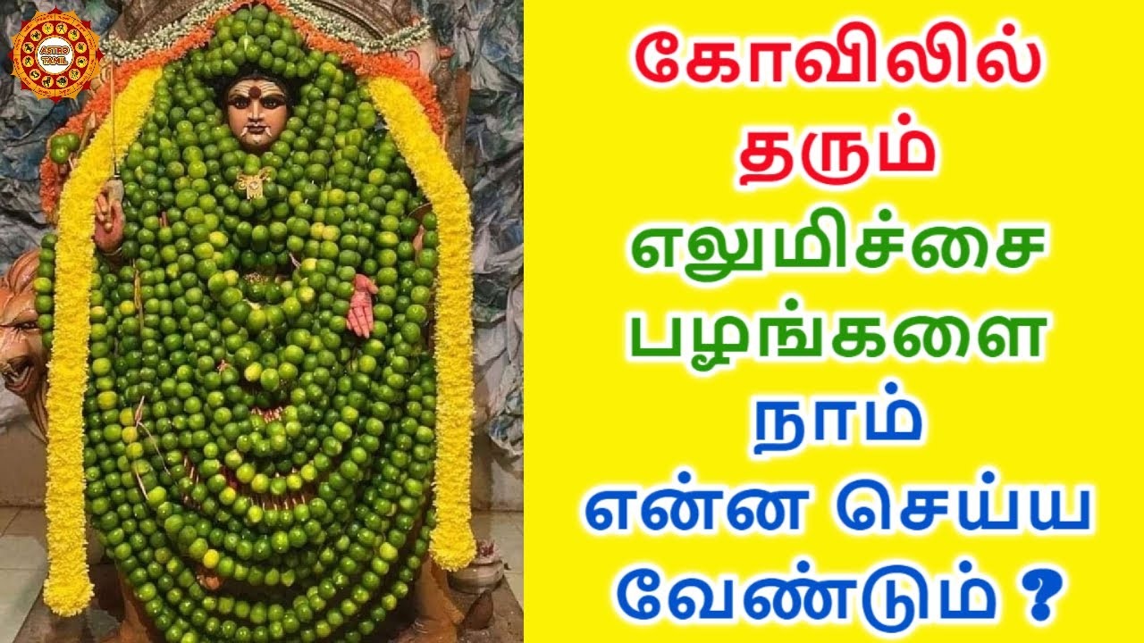 கோவிலில் பிரசாதமாக கிடைக்கும் எலுமிச்சையை கொண்டு இப்படி செய்தால் ...